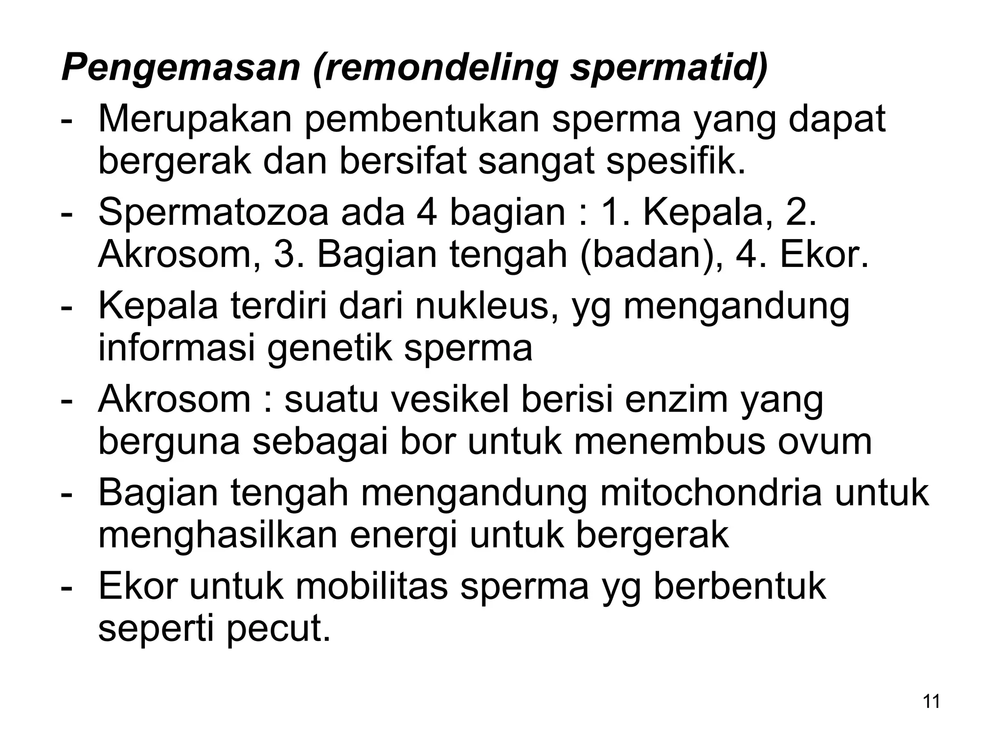Fisiologi Reproduksi Pria.ppt