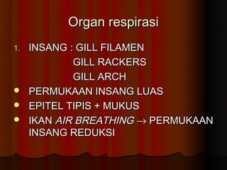 Fisiologi respirasi | PPT