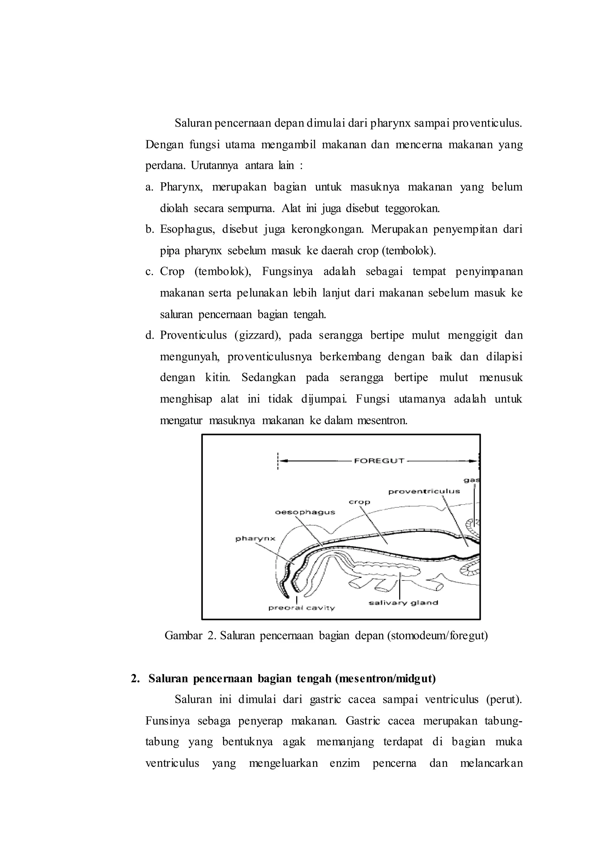 Fisiologi serangga | DOCX
