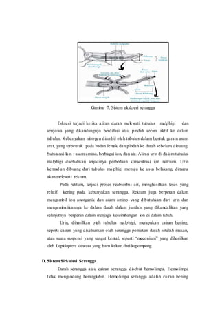 Fisiologi serangga | DOCX