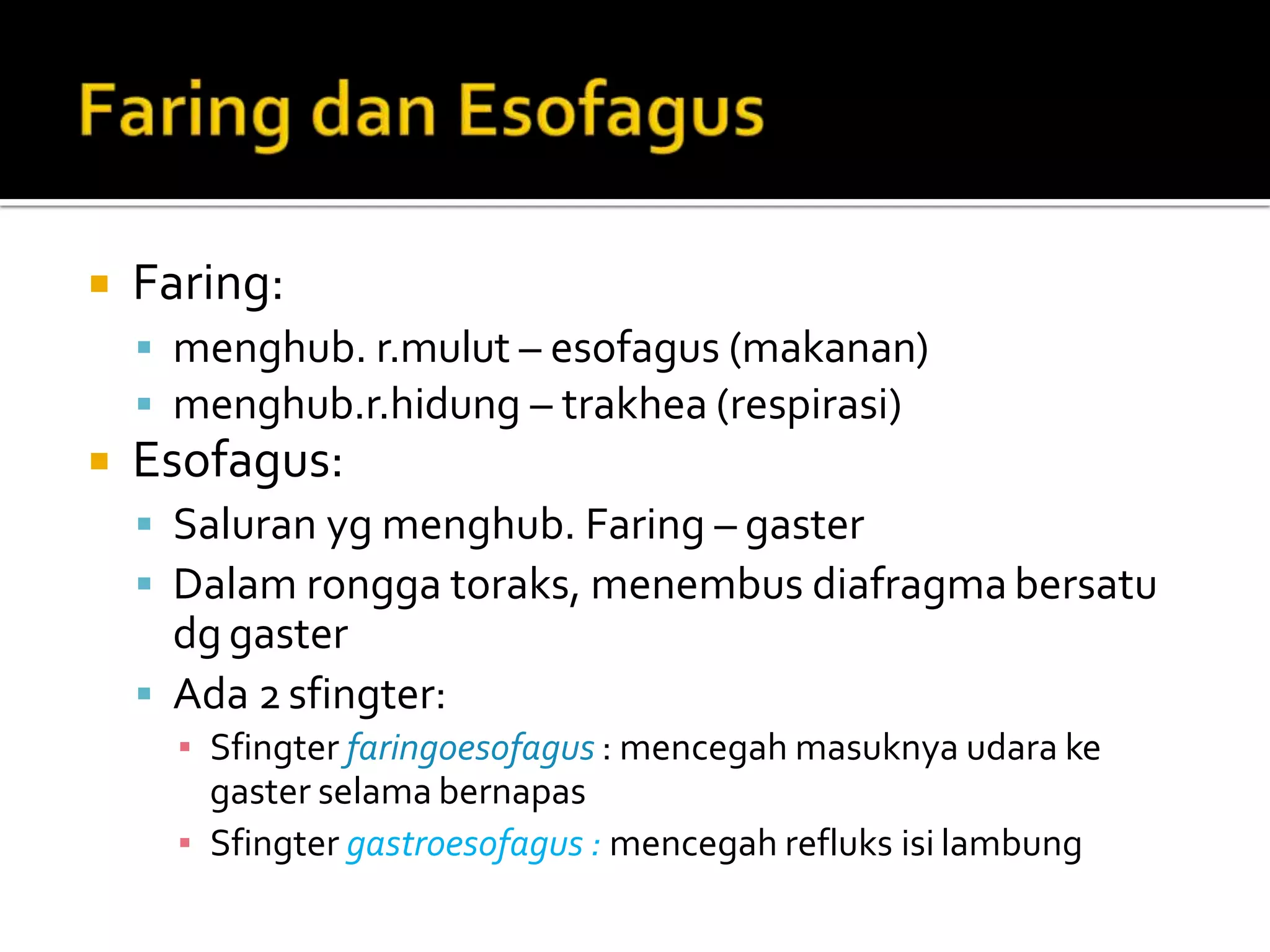 Fisiologi sistem digestivus (1) | PPTX