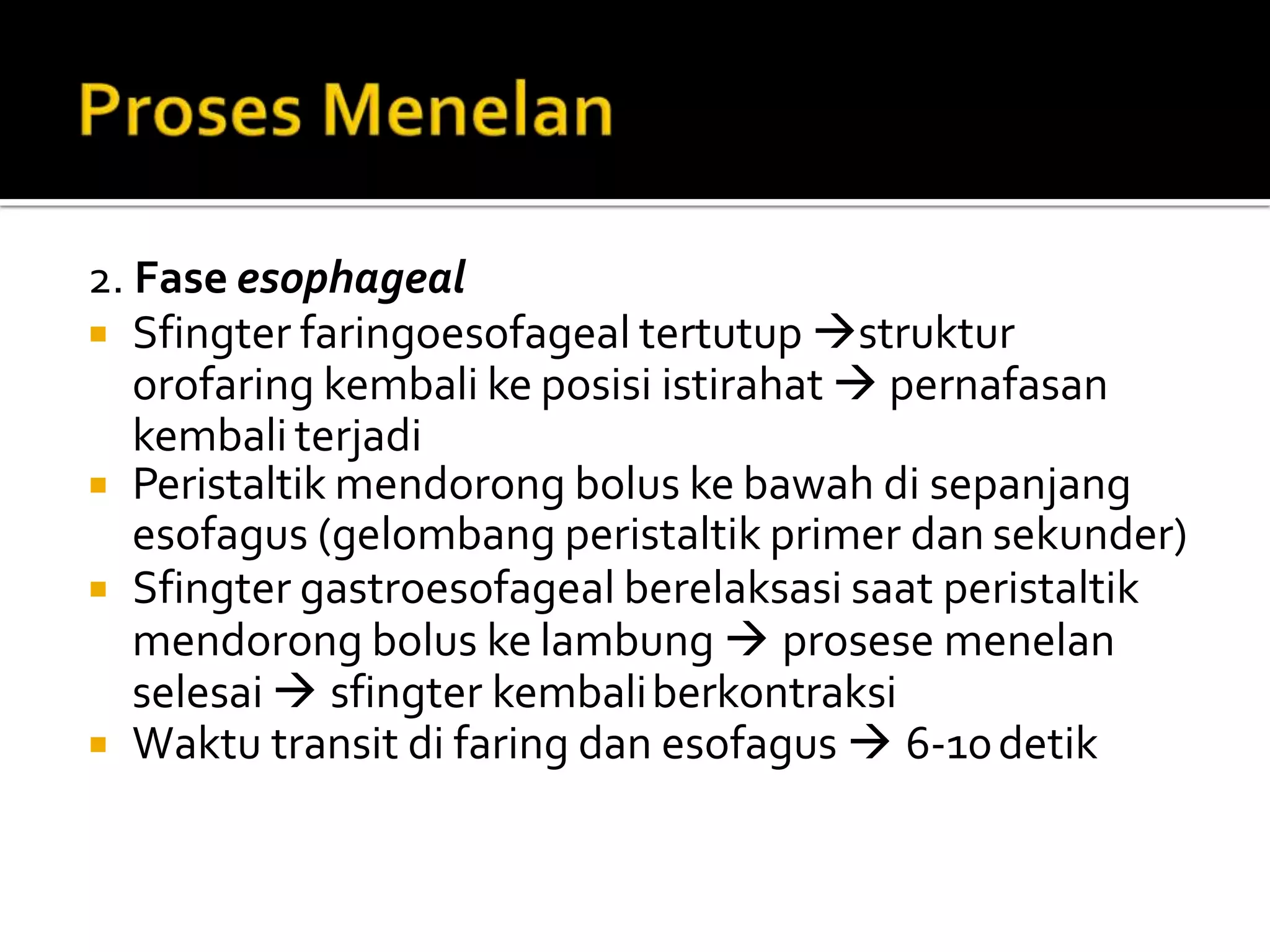 Fisiologi sistem digestivus (1) | PPTX