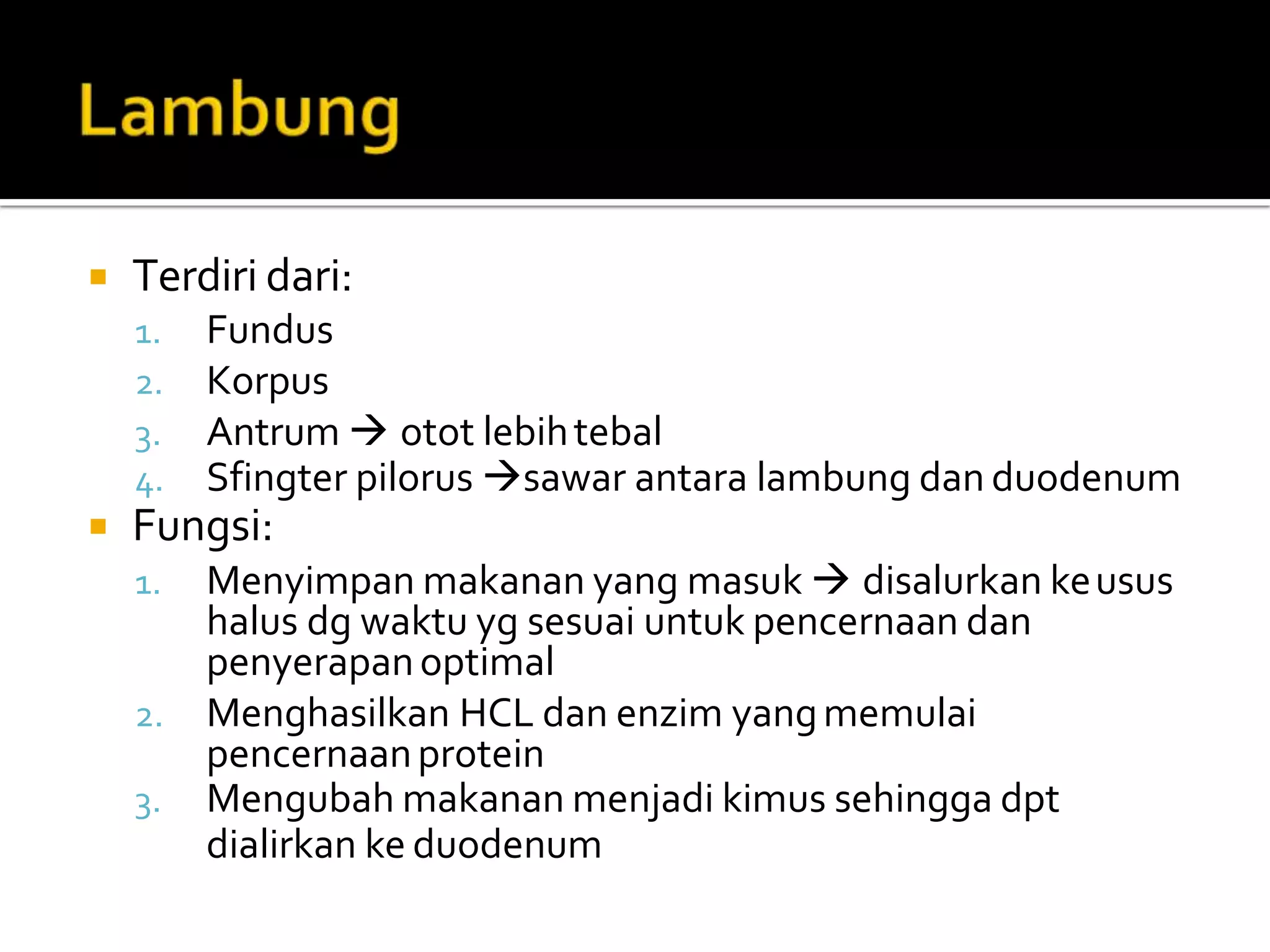 Fisiologi sistem digestivus (1) | PPTX
