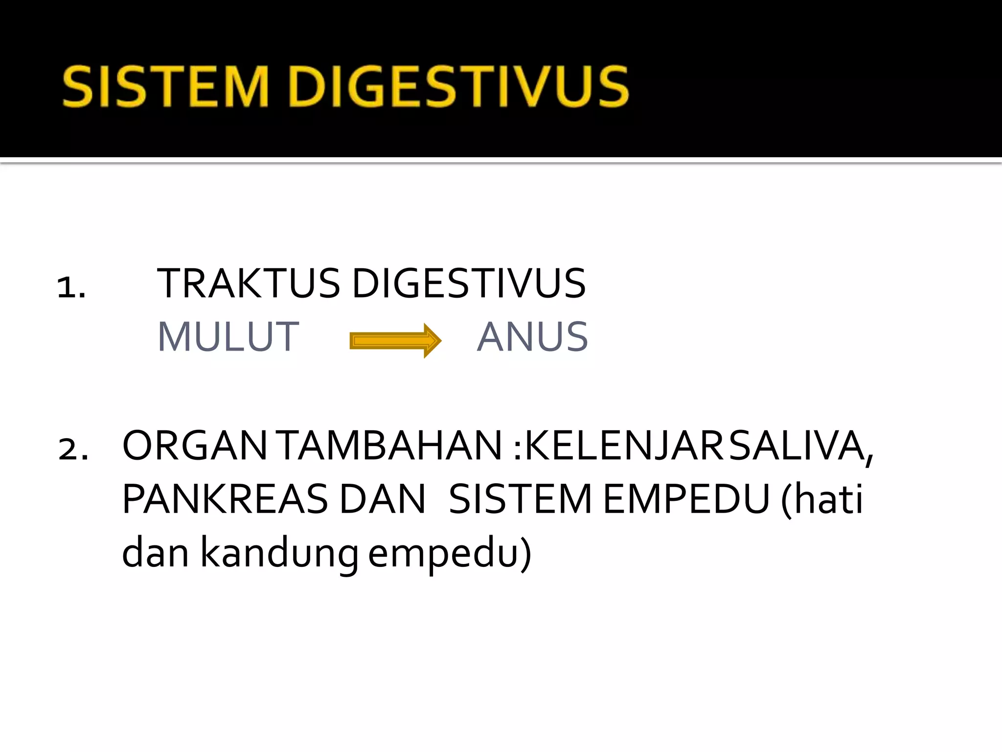 Fisiologi sistem digestivus (1) | PPTX