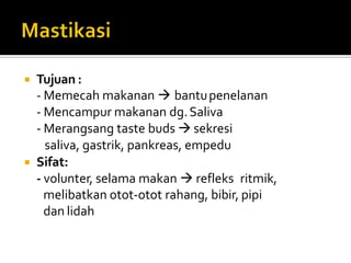 Fisiologi sistem digestivus (1) | PPTX