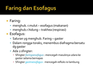 Fisiologi sistem digestivus (1) | PPTX
