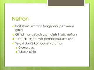 Fisiologi sistem eksresi | PPT