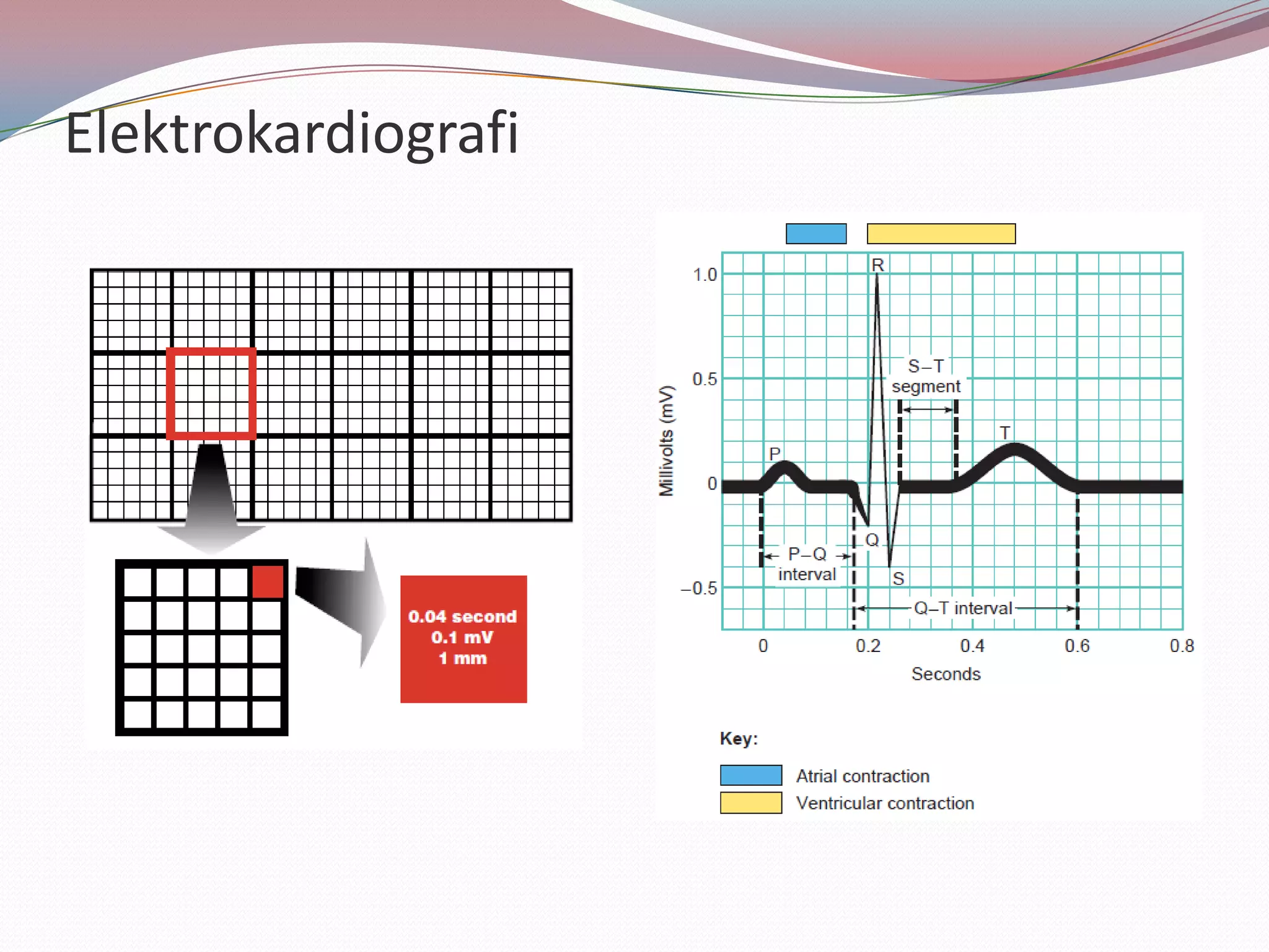 Fisiologi sistem kardiovaskular | PPT
