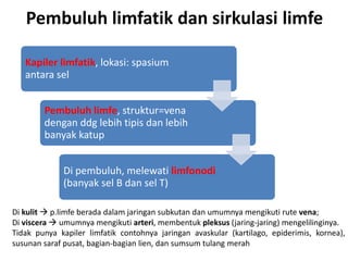 FISIOLOGI SISTEM LIMFATIK KURBA 2020.pdf
