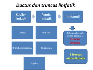 FISIOLOGI SISTEM LIMFATIK KURBA 2020.pdf