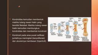 FISIOLOGI SISTEM MUSCULOSKELETAL PADA MANUSIA.pptx