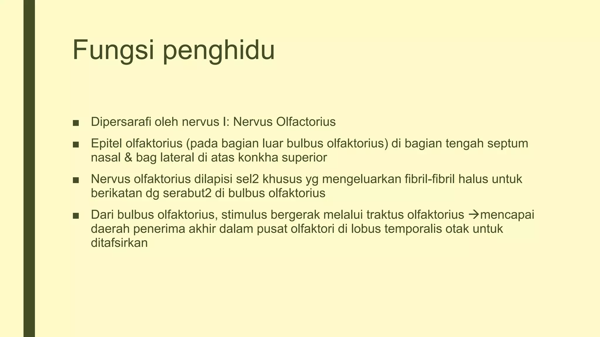 Fisiologi Sistem Panca Indera.ppt