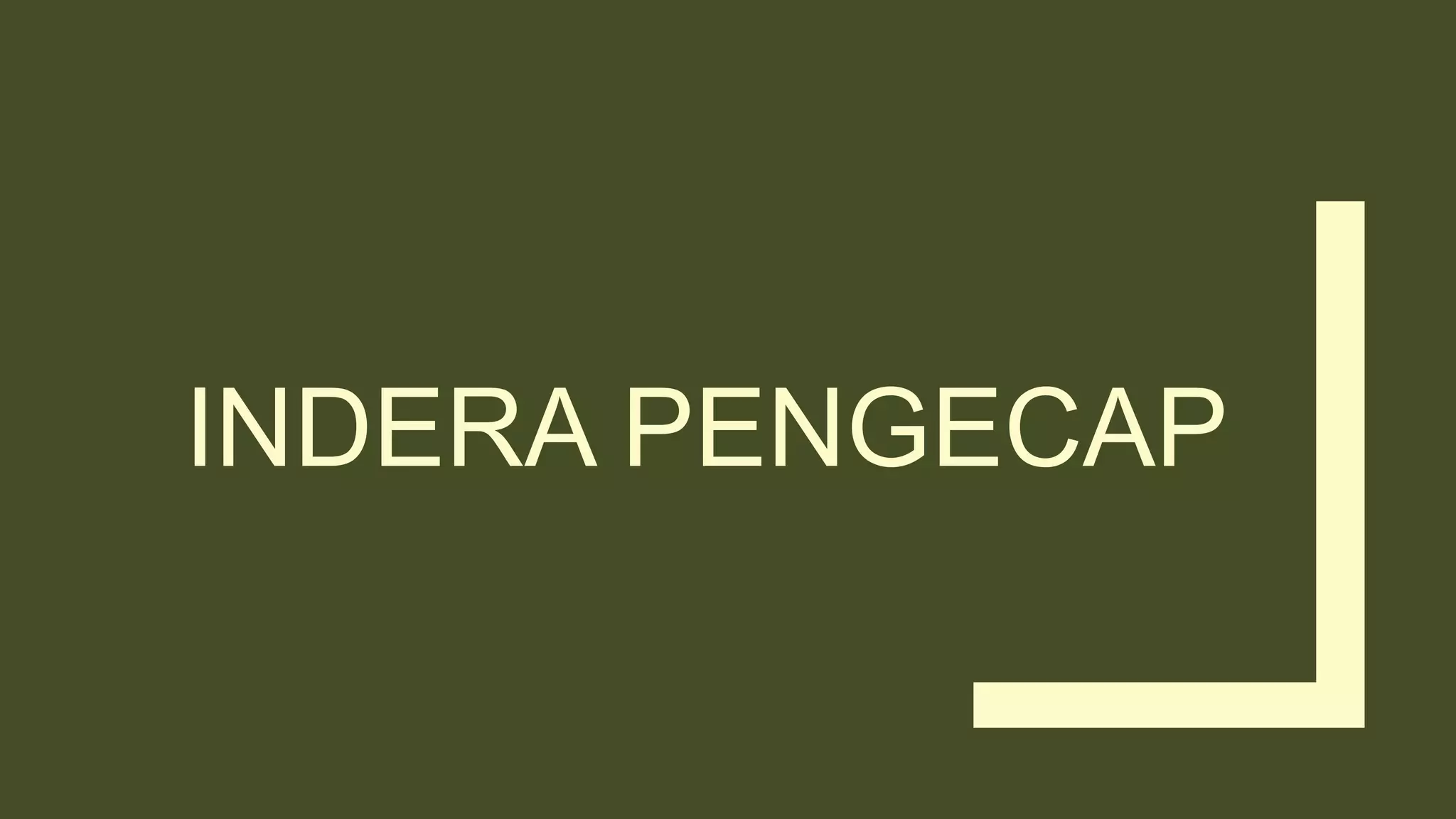 Fisiologi Sistem Panca Indera.ppt