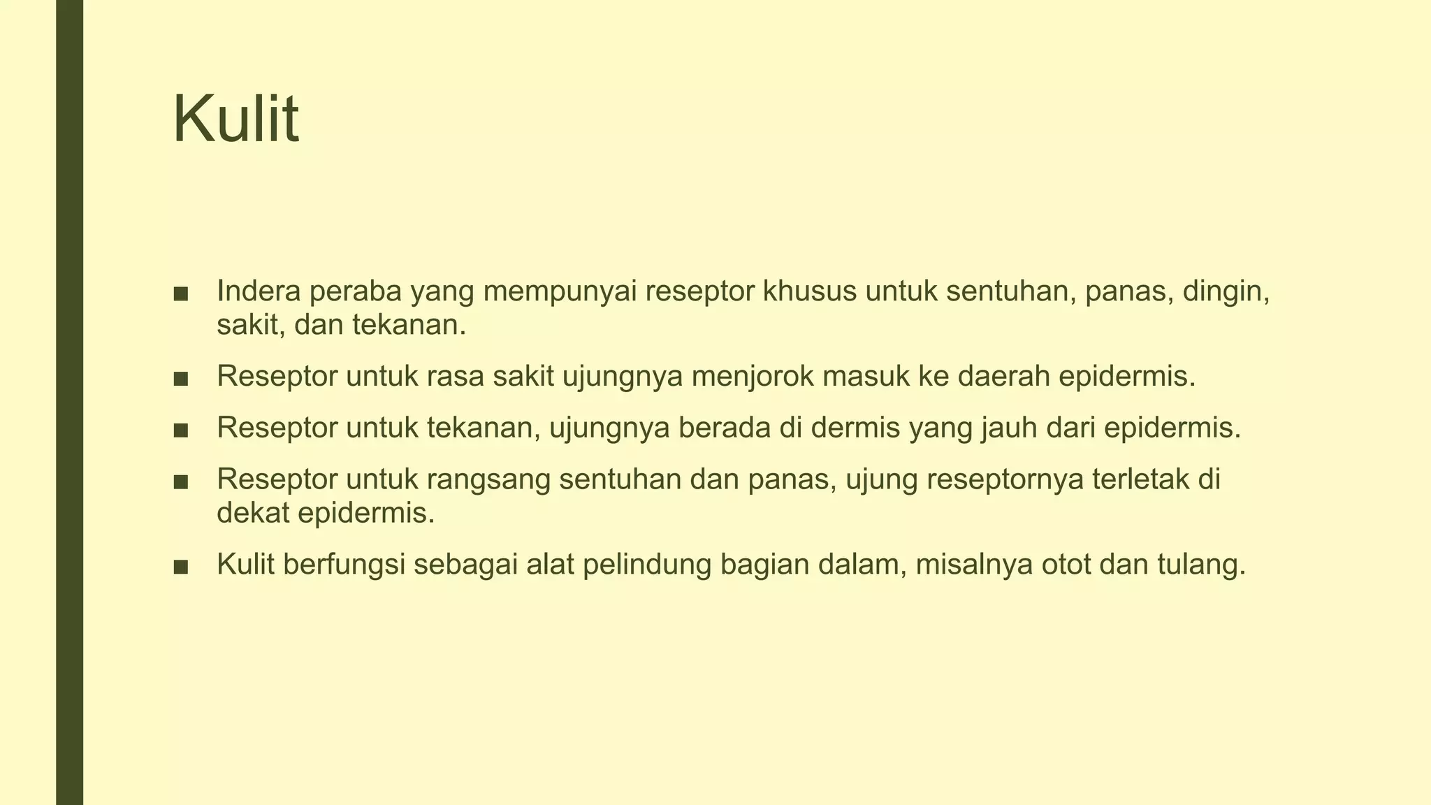 Fisiologi Sistem Panca Indera.ppt