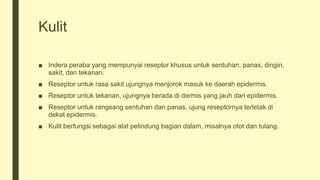 Fisiologi Sistem Panca Indera.ppt