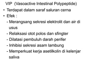 Fisiologi sistem pencernaan | PPT