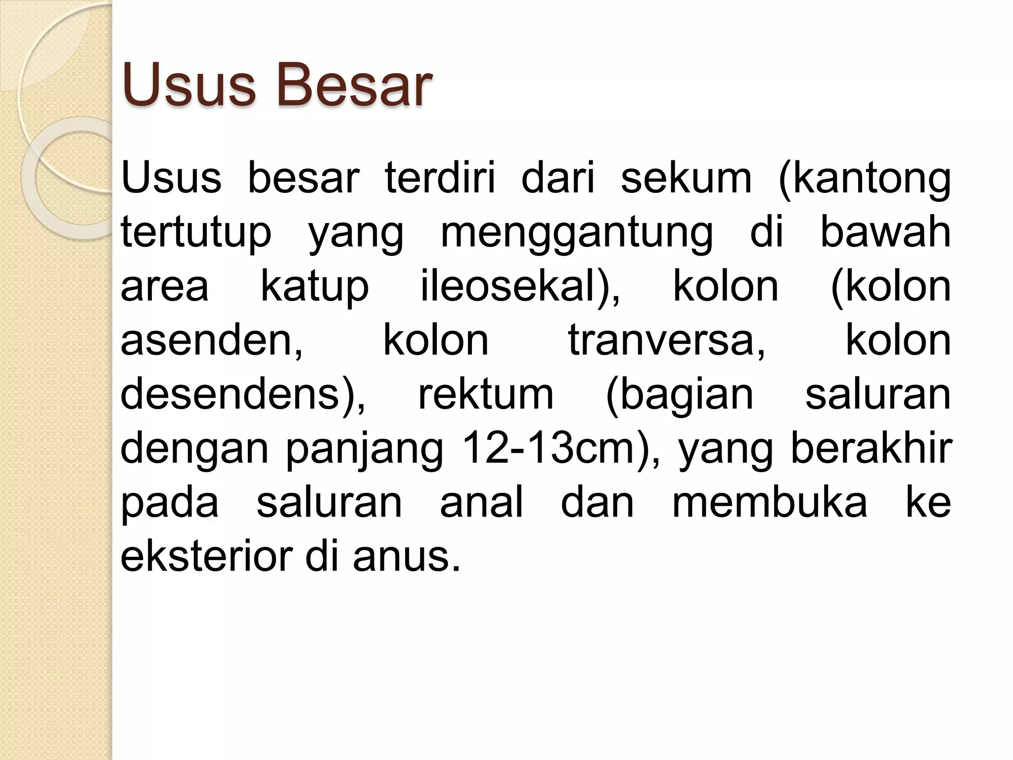 Fisiologi sistem pencernaan | PPTX