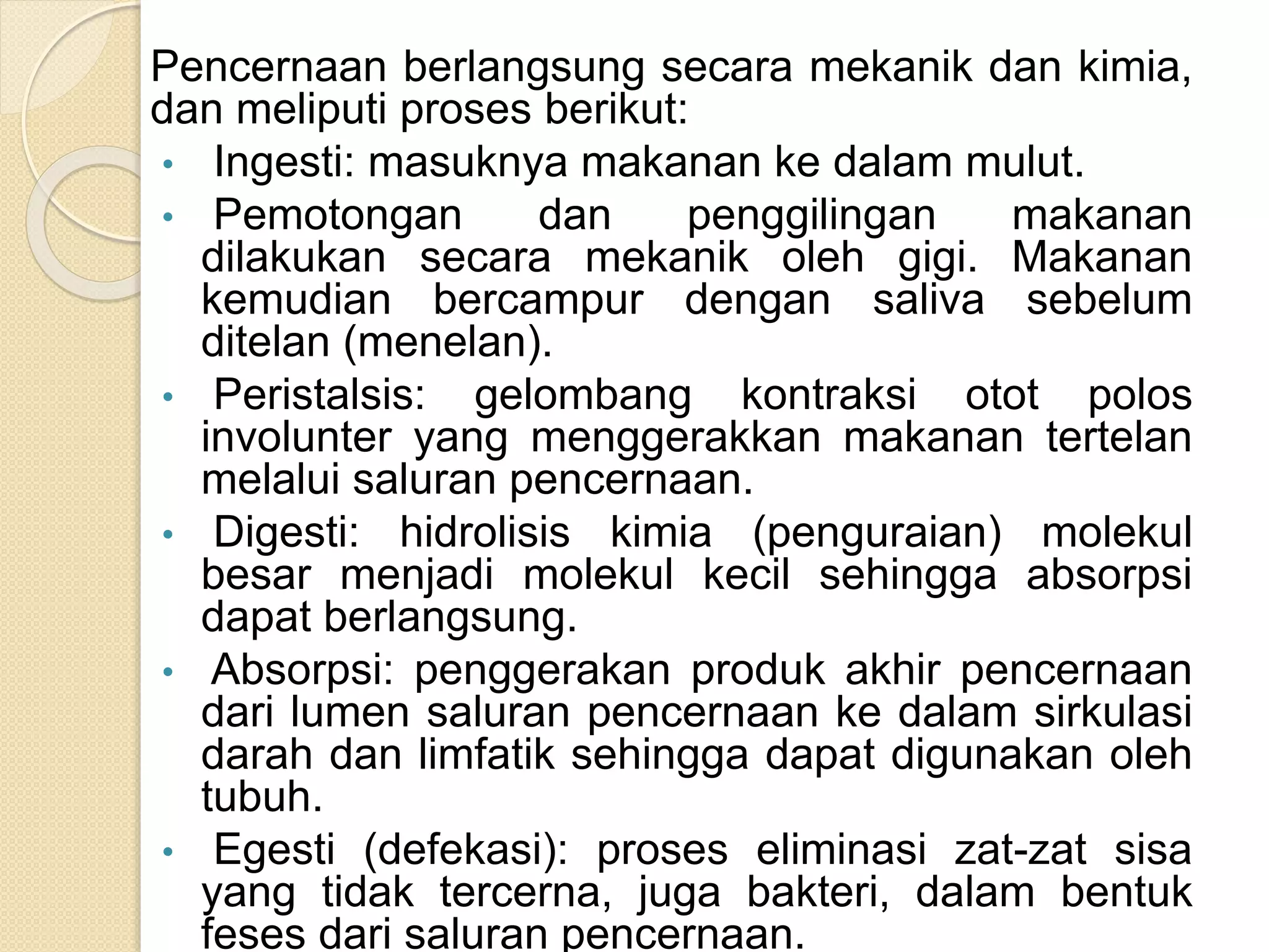 Fisiologi sistem pencernaan | PPTX