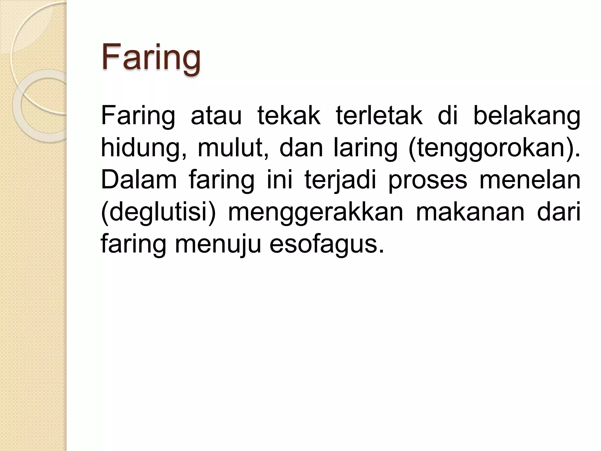 Fisiologi sistem pencernaan | PPTX