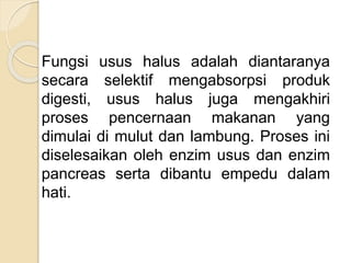 Fisiologi sistem pencernaan | PPTX