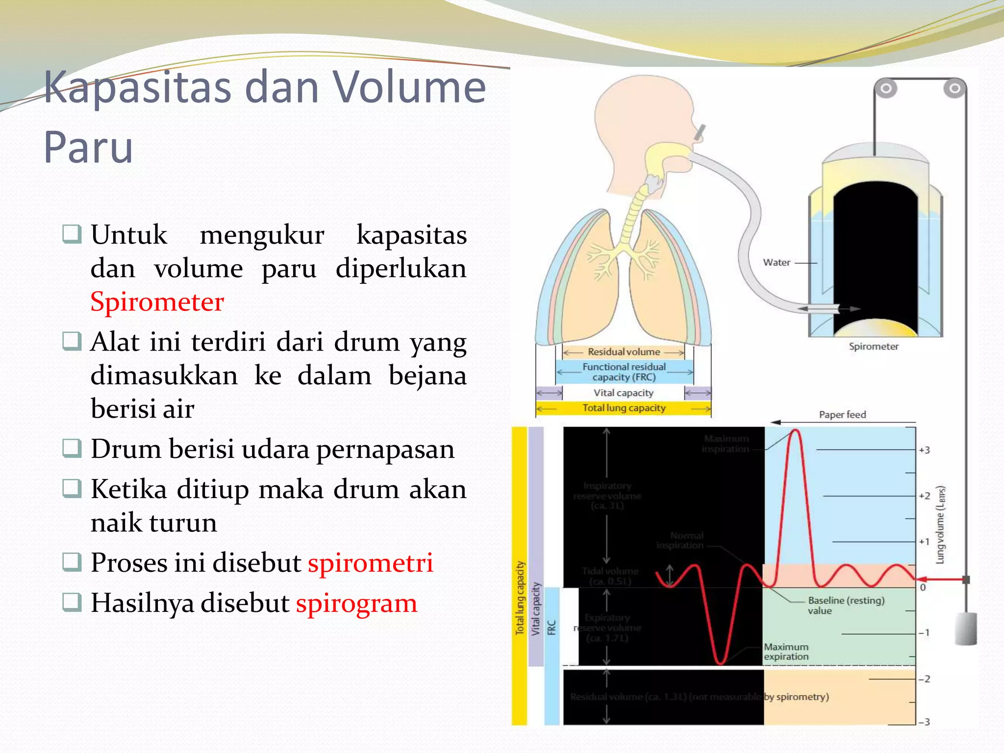 Fisiologi sistem respirasi | PPT