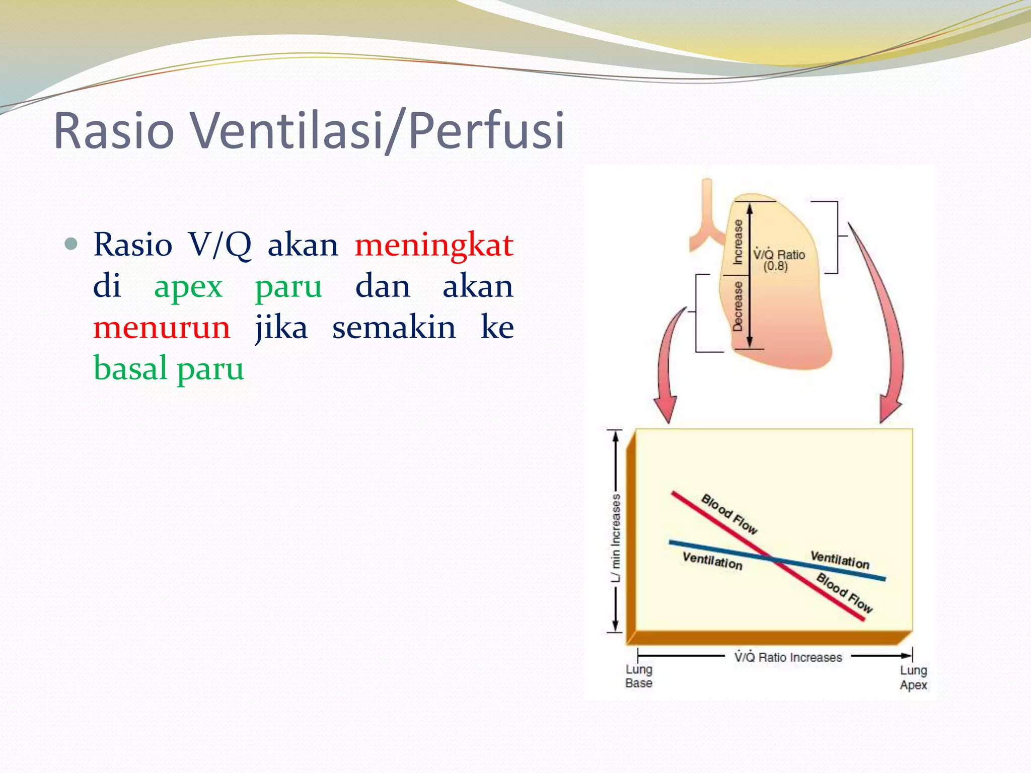 Fisiologi sistem respirasi | PPT