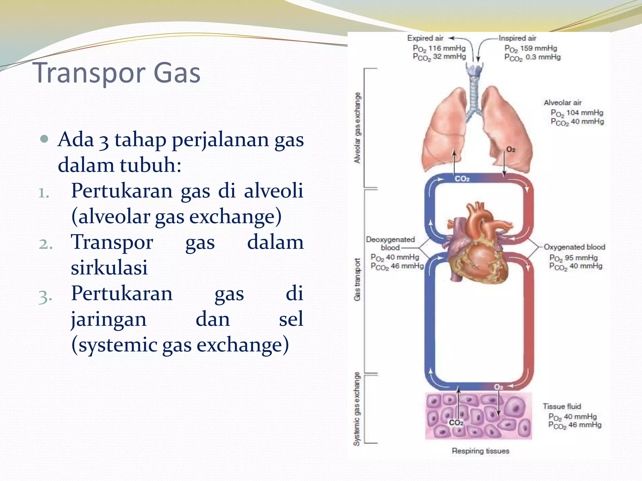 Fisiologi sistem respirasi | PPT