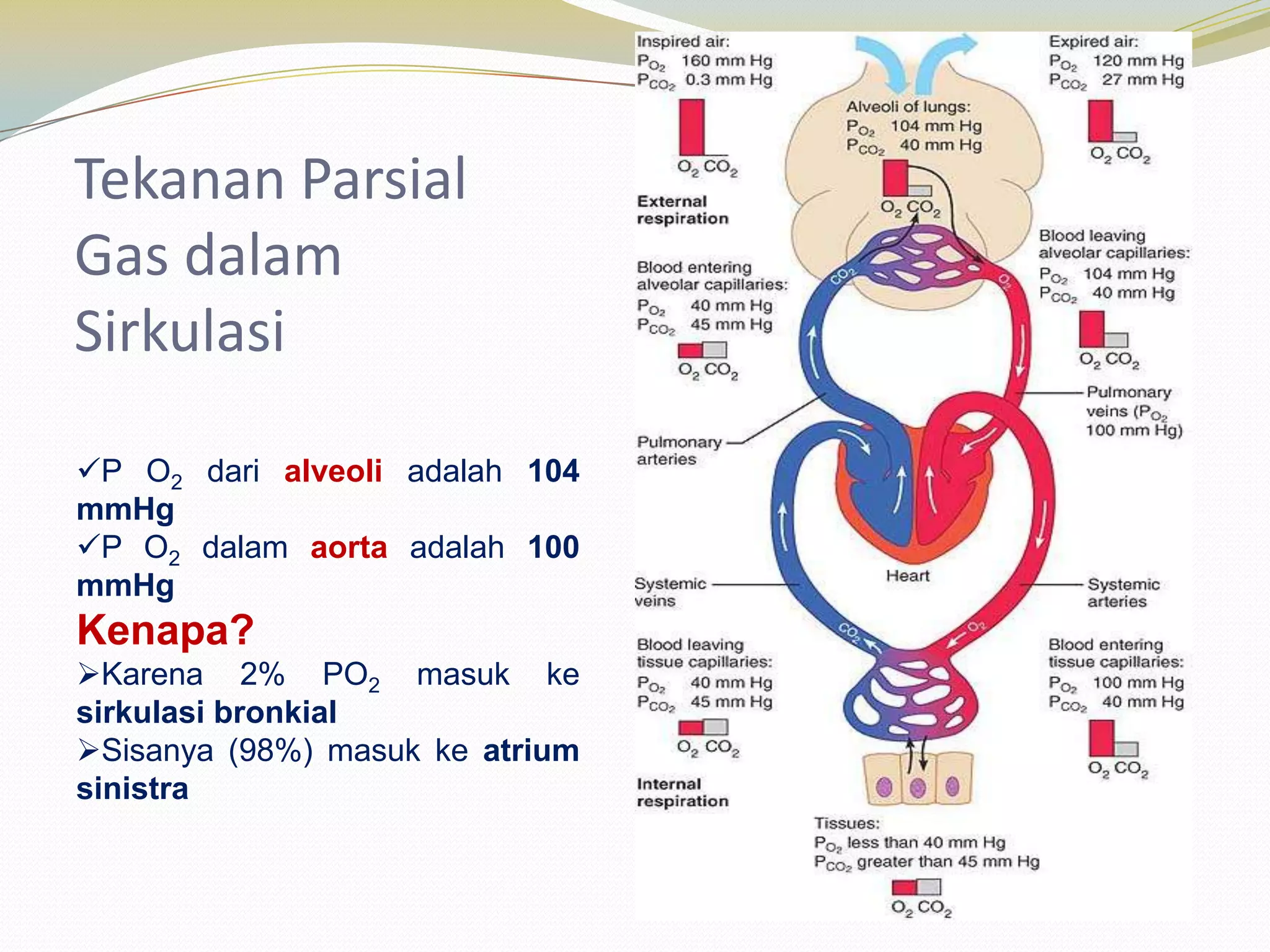 Fisiologi sistem respirasi | PPT