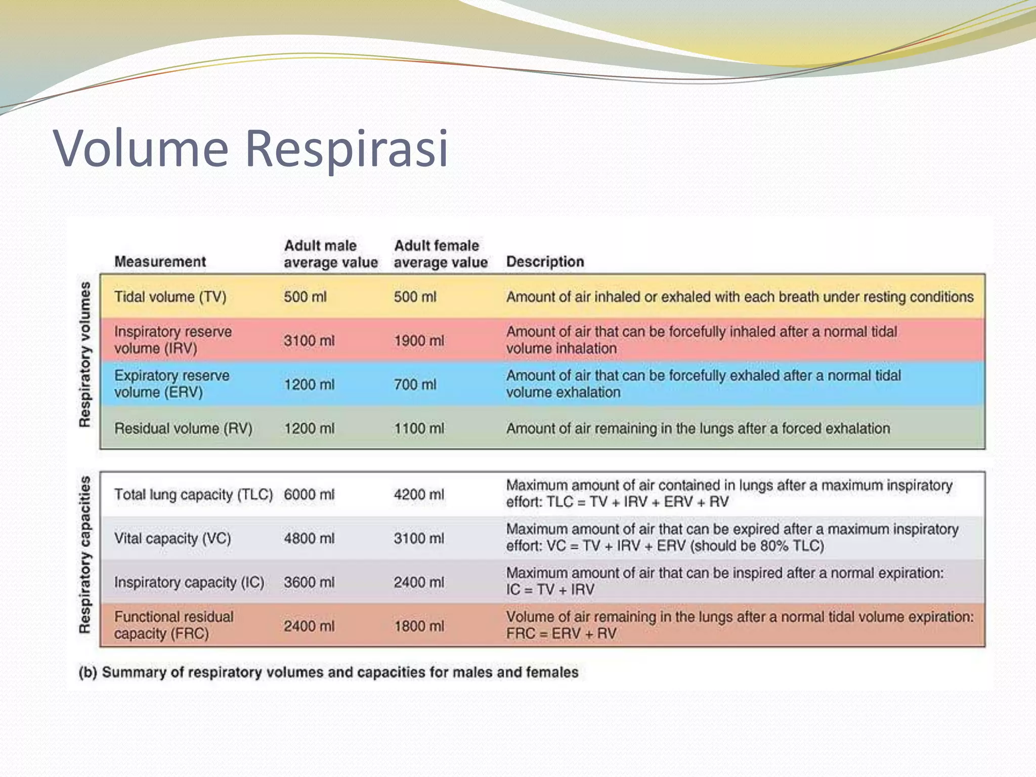Fisiologi sistem respirasi | PPT