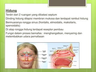 Fisiologi sistem respirasi | PPTX