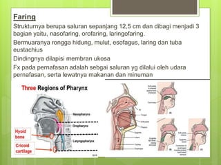 Fisiologi sistem respirasi | PPT