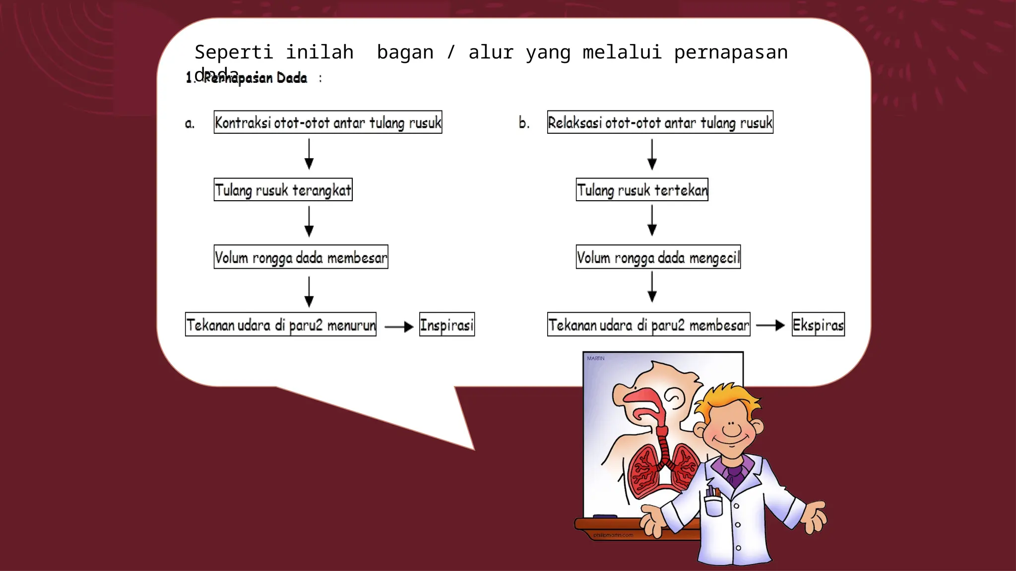 FISIOLOGI SISTEM RESPIRASI.pptxbhvkvhkvhkvhv | PPTX