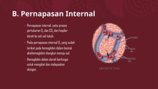 FISIOLOGI SISTEM RESPIRASI.pptxbhvkvhkvhkvhv | PPT