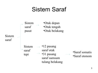 Fisiologi sistem saraf | PPT
