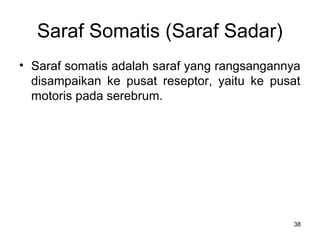 Fisiologi sistem saraf | PPT