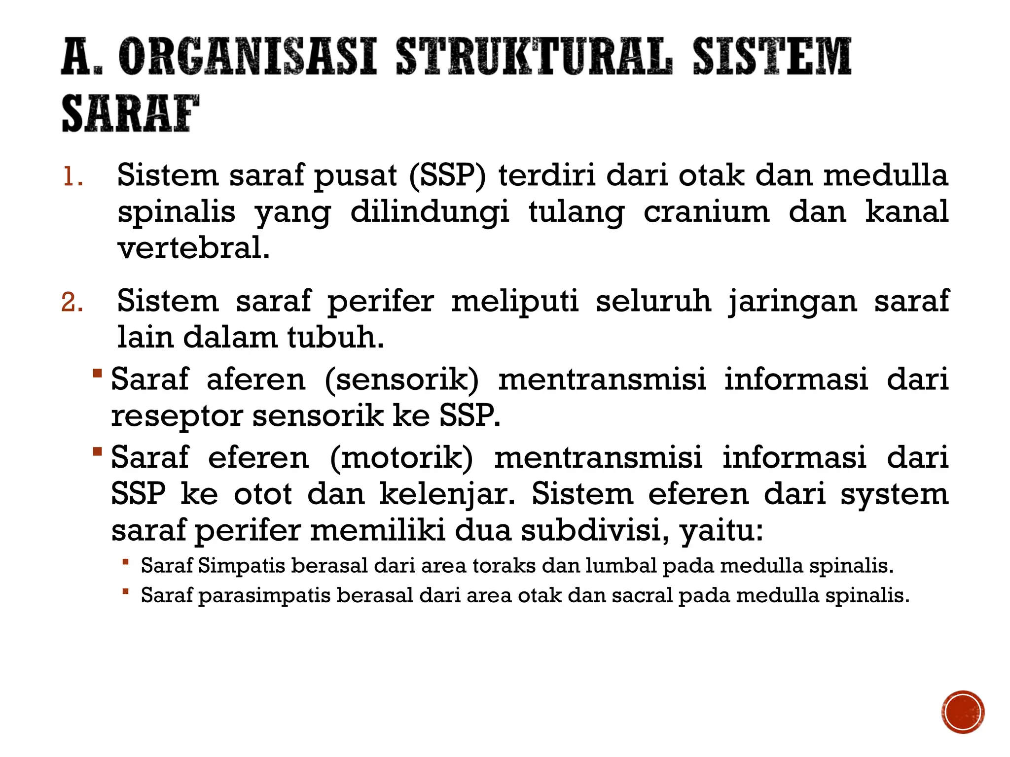 Fisiologi sistem saraf dr. Muhamad Mahir.ppt
