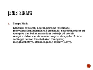 Fisiologi sistem saraf dr. Muhamad Mahir.ppt