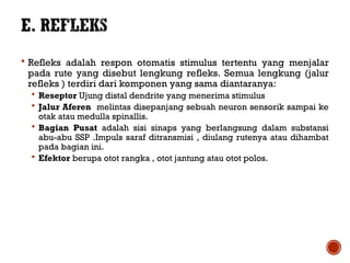 Fisiologi sistem saraf dr. Muhamad Mahir.ppt