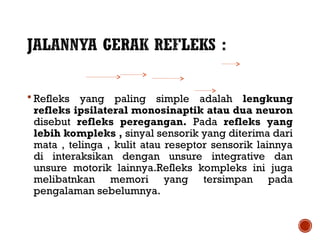 Fisiologi sistem saraf dr. Muhamad Mahir.ppt