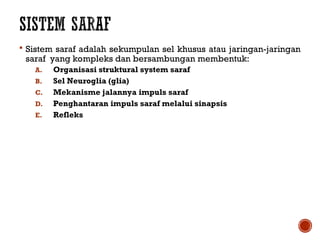 Fisiologi sistem saraf dr. Muhamad Mahir.ppt