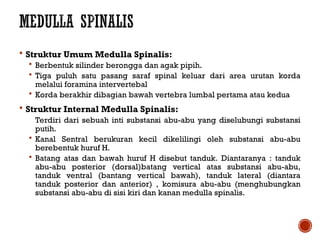 Fisiologi sistem saraf dr. Muhamad Mahir.ppt