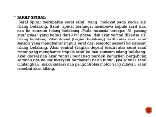 Fisiologi sistem saraf dr. Muhamad Mahir.ppt