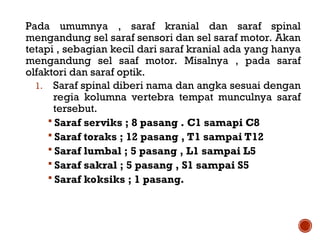 Fisiologi sistem saraf dr. Muhamad Mahir.ppt