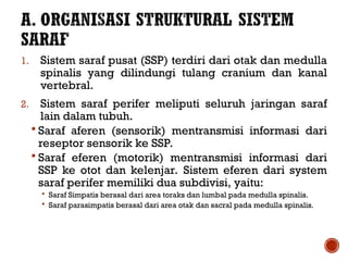 Fisiologi sistem saraf dr. Muhamad Mahir.ppt