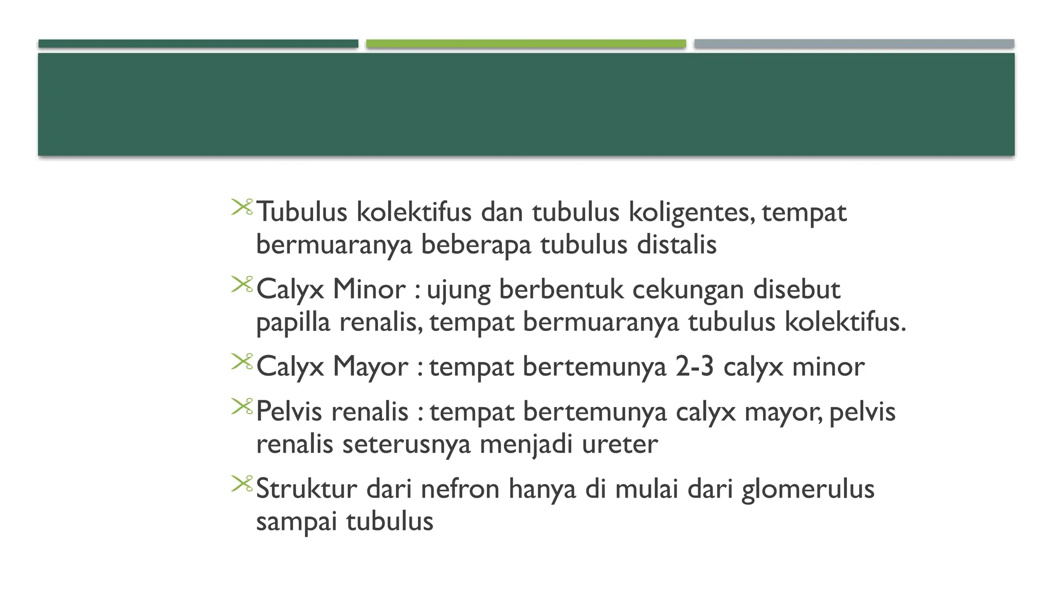 anatomi dan Fisiologi sistem urinari.pptx