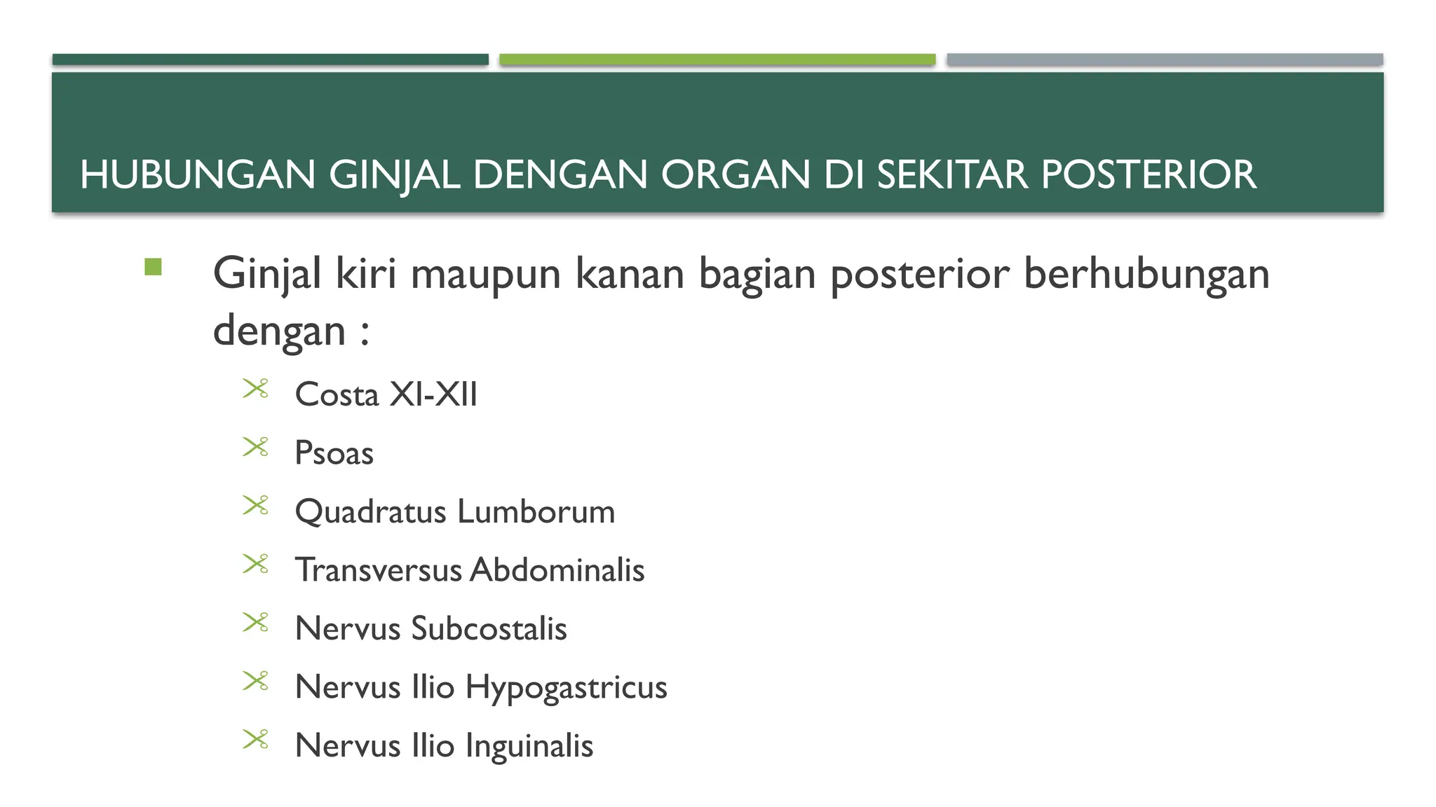 anatomi dan Fisiologi sistem urinari.pptx