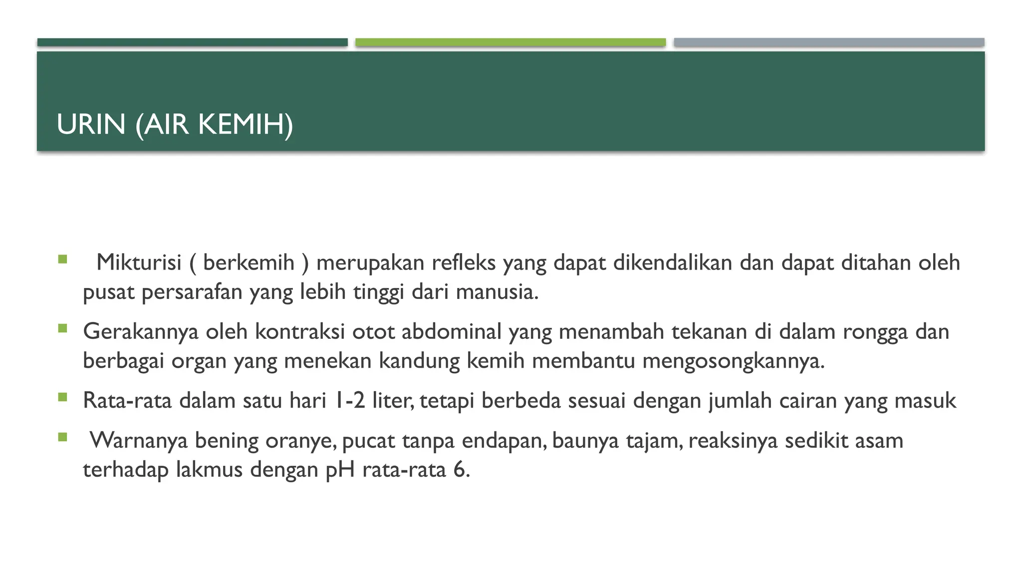 anatomi dan Fisiologi sistem urinari.pptx