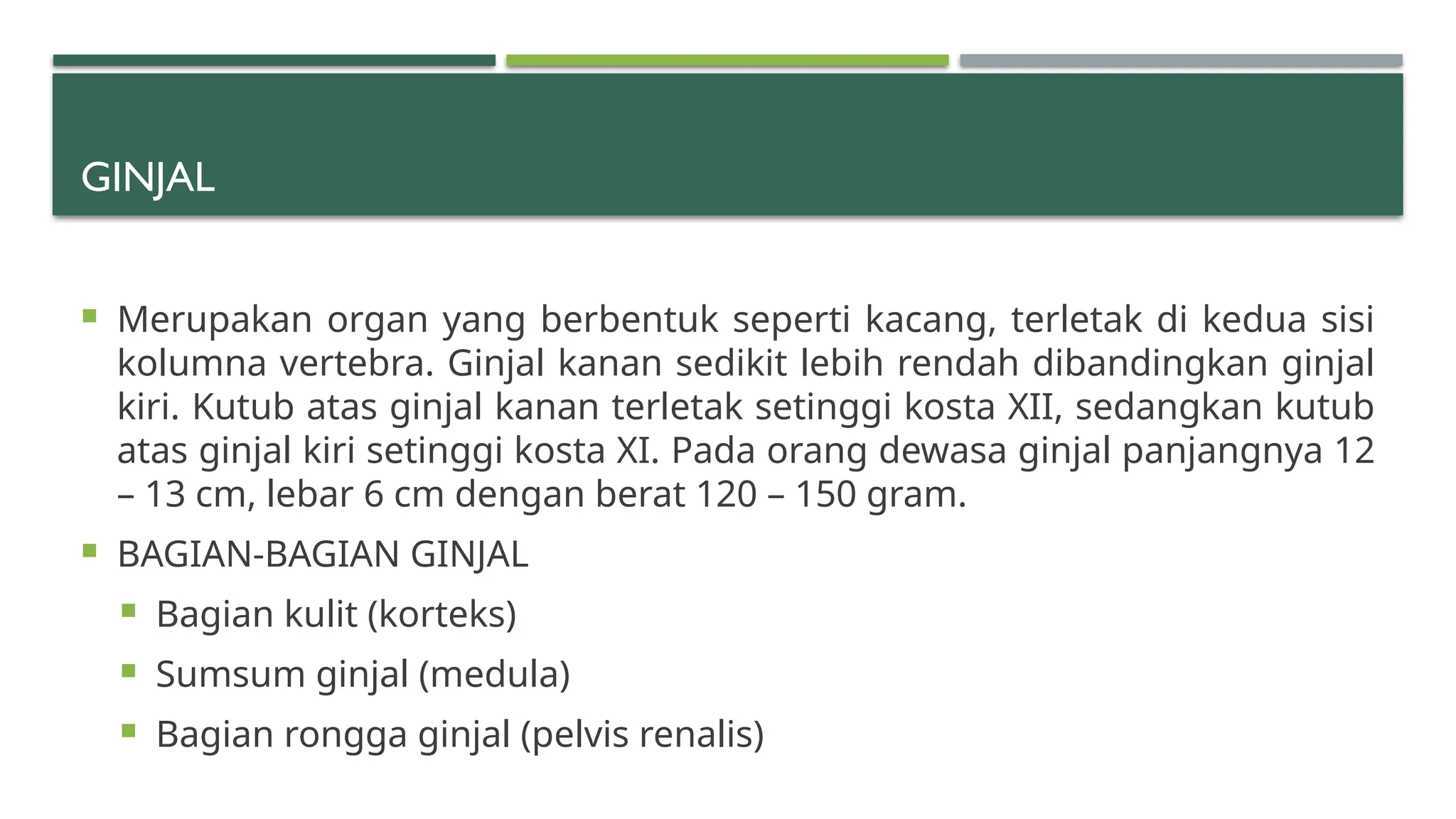 anatomi dan Fisiologi sistem urinari.pptx