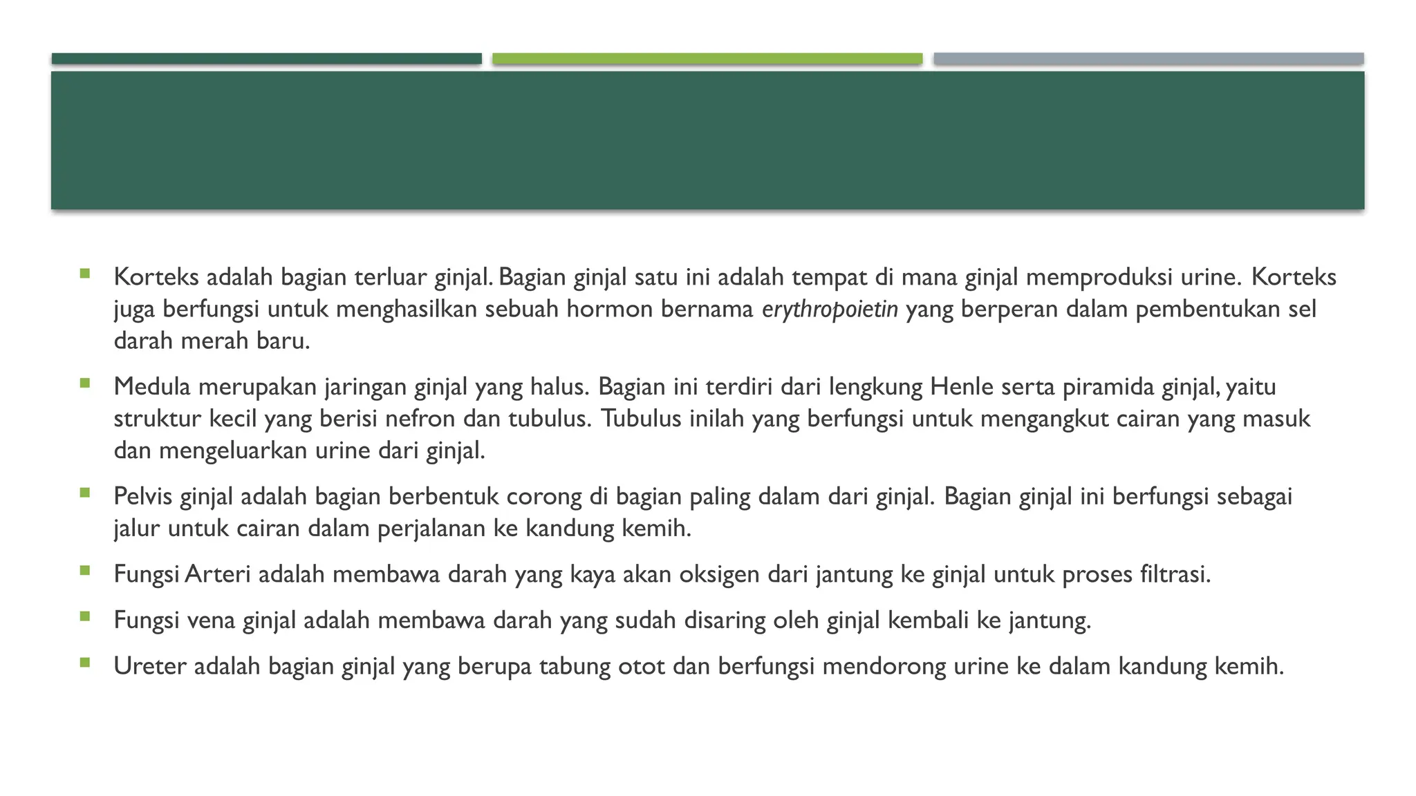 anatomi dan Fisiologi sistem urinari.pptx