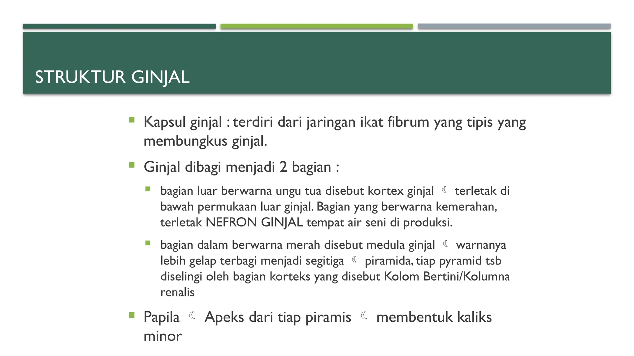 anatomi dan Fisiologi sistem urinari.pptx